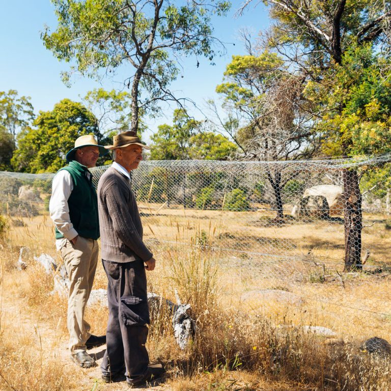 Blyth Battery - Grid Stability for SA
